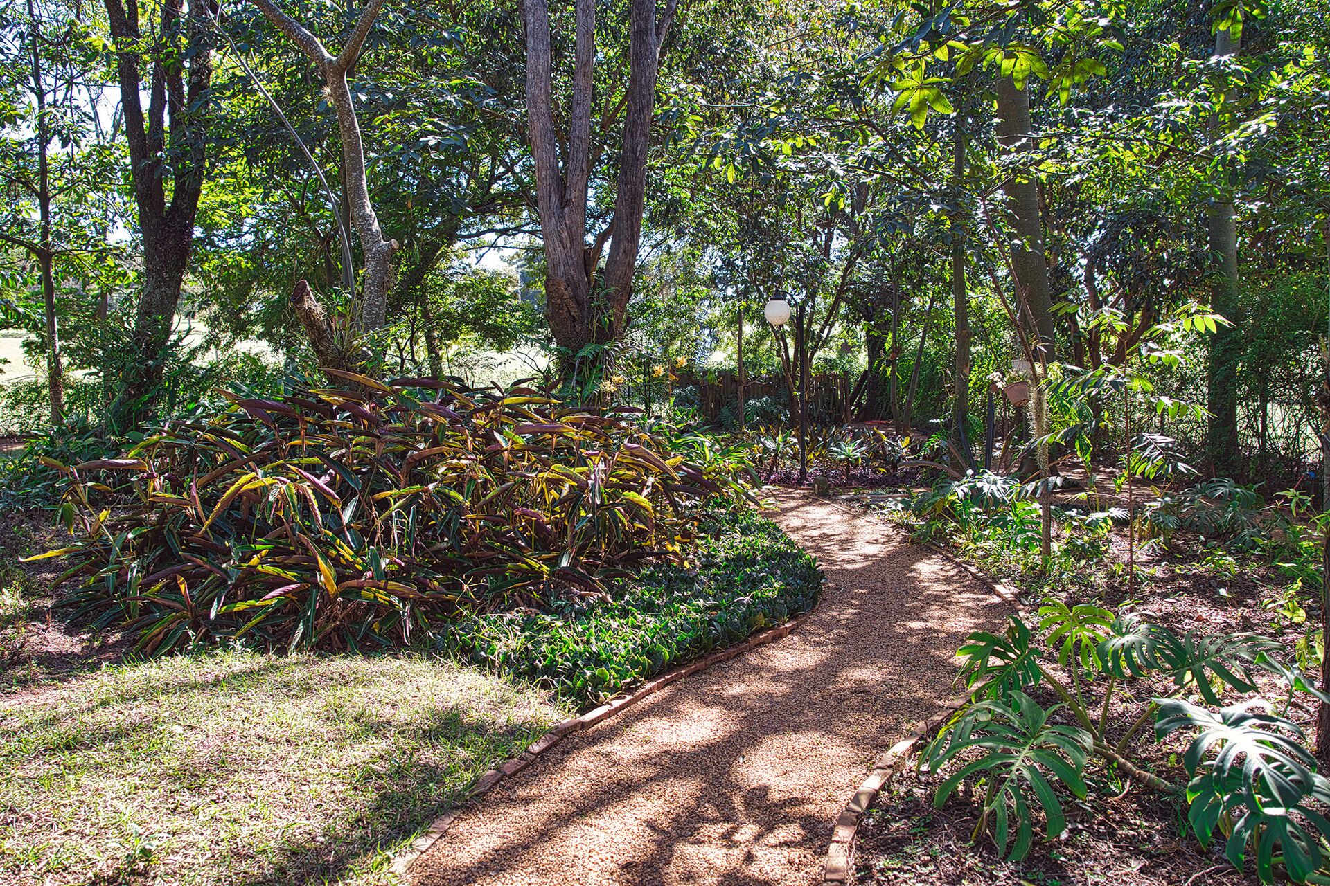 Página Inicial - Palmas Del Rey