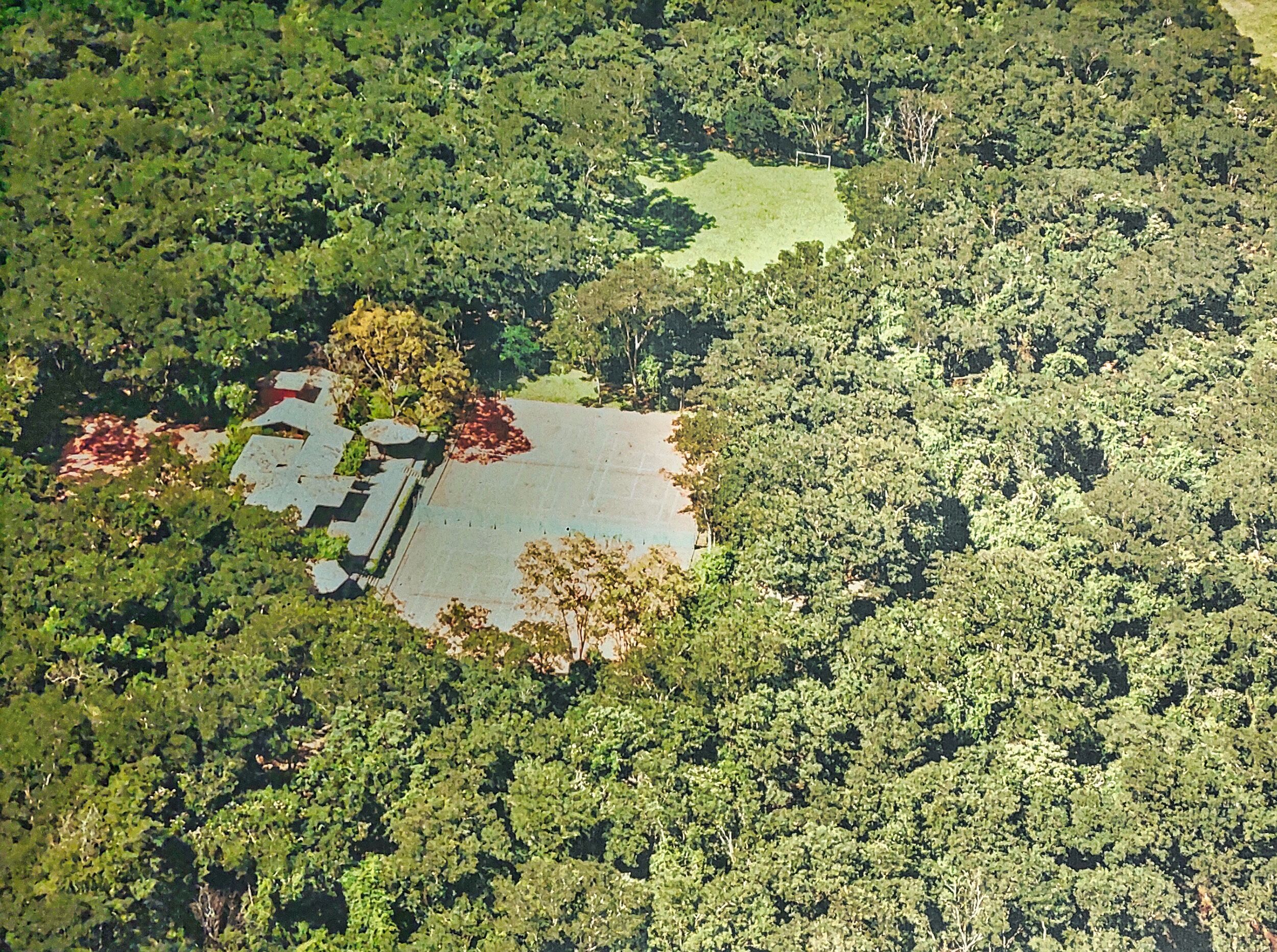 Página Inicial - Palmas Del Rey